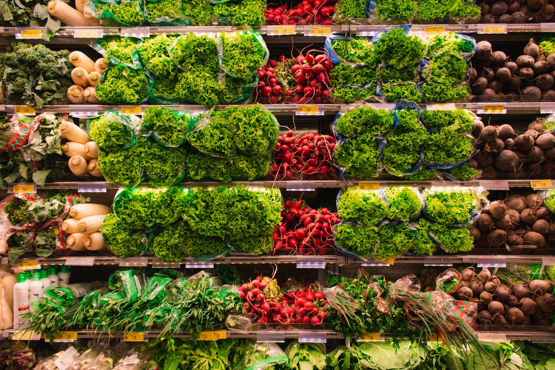 Personal Body Plan Word De Beste Versie Van Jezelf Boodschappen